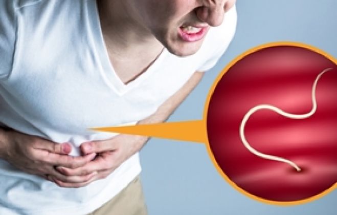 Conheça parasitas que vivem no corpo e veja o que eles causam - ClickGrátis