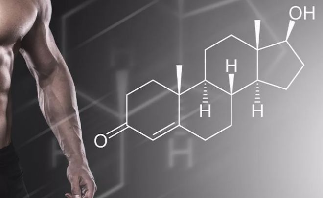 Testosterona: Confira dicas infalíveis para repor os níveis - ClickGrátis
