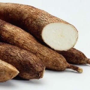 Receitas com Aipim - Deliciosas Receitas com Mandioca - ClickGrátis